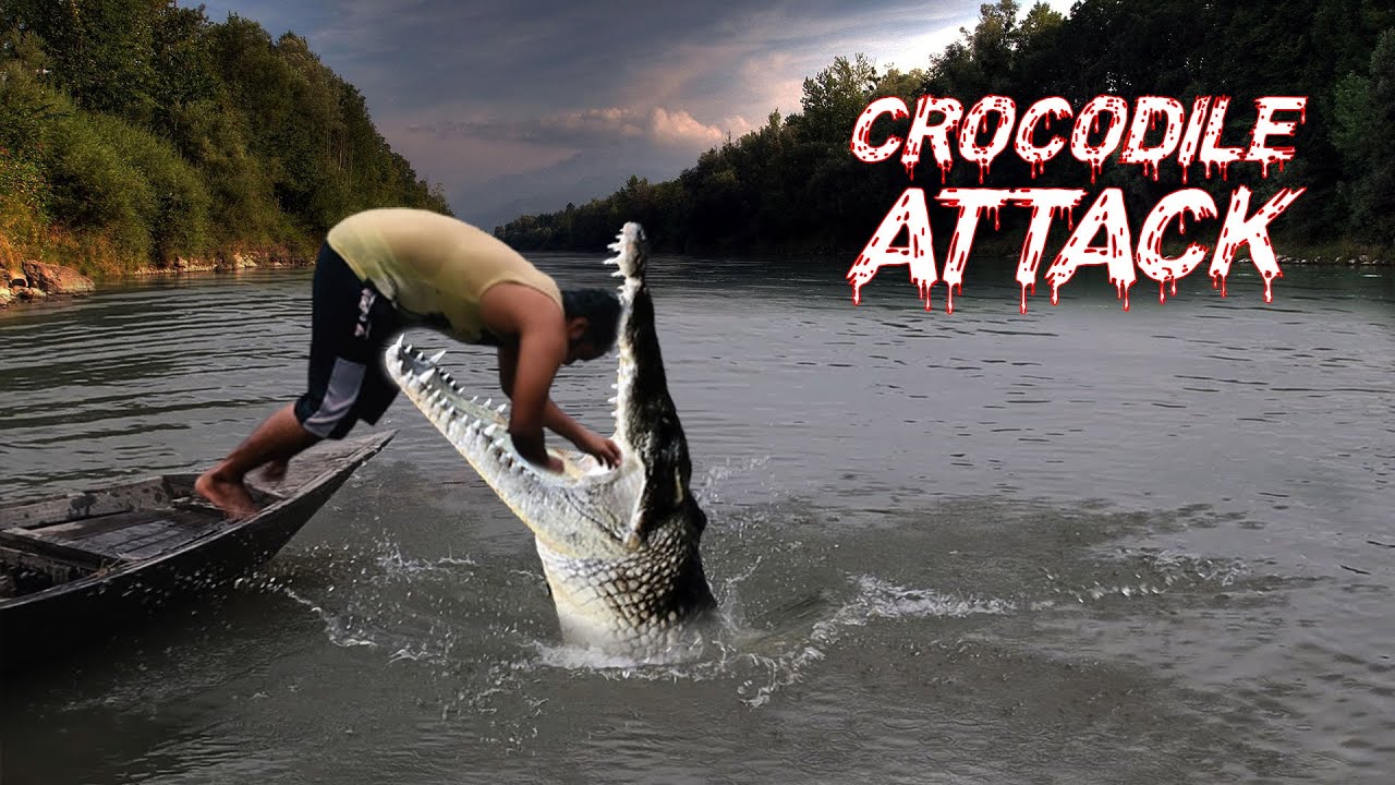 CROCODILE ATTACKs Man in Fishing River | Alligator Attacks Boy | A ...