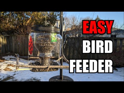 Easy DIY Bird Feeder from Recycled Materials- $0