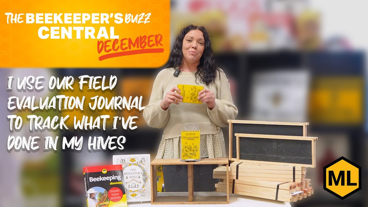 Beekeeper's Buzz - Central Region, December 2024 - YouTube