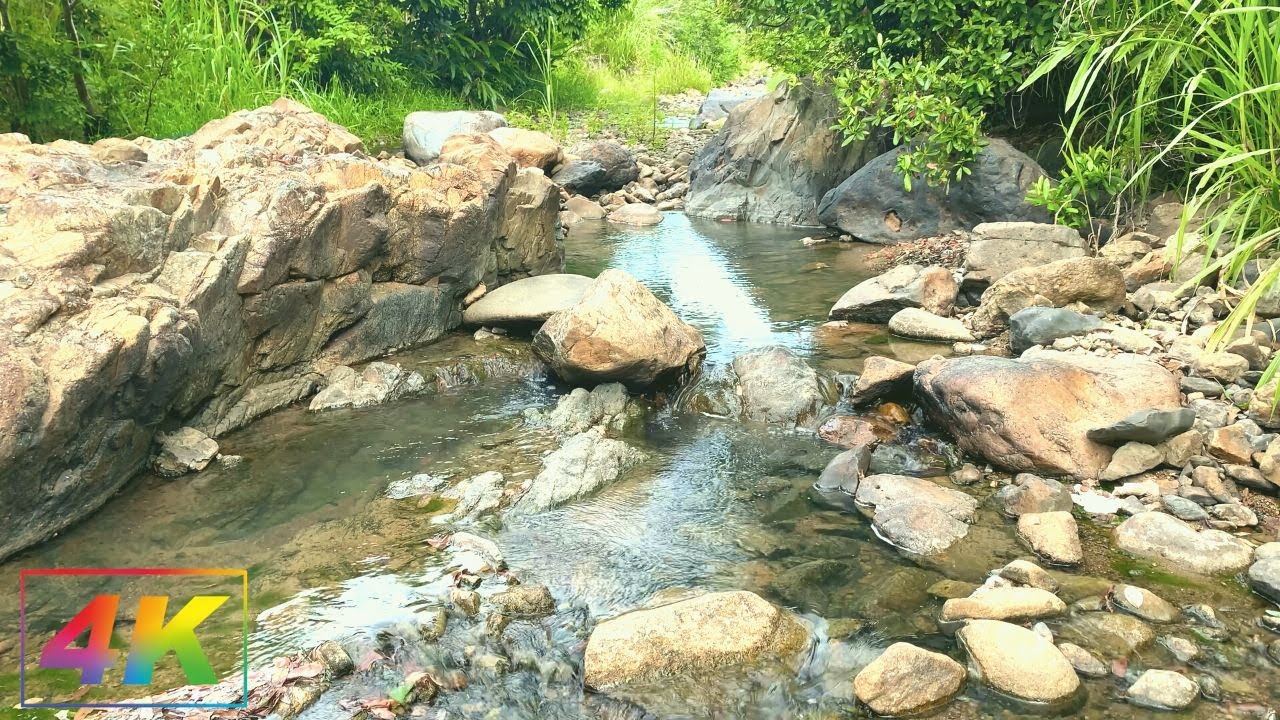 4K Murmuring stream in the Forest, 15 minutes to help you reduce stress ...