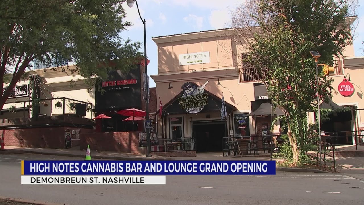 High Notes Cannabis Bar and Lounge opens in Nashville - YouTube
