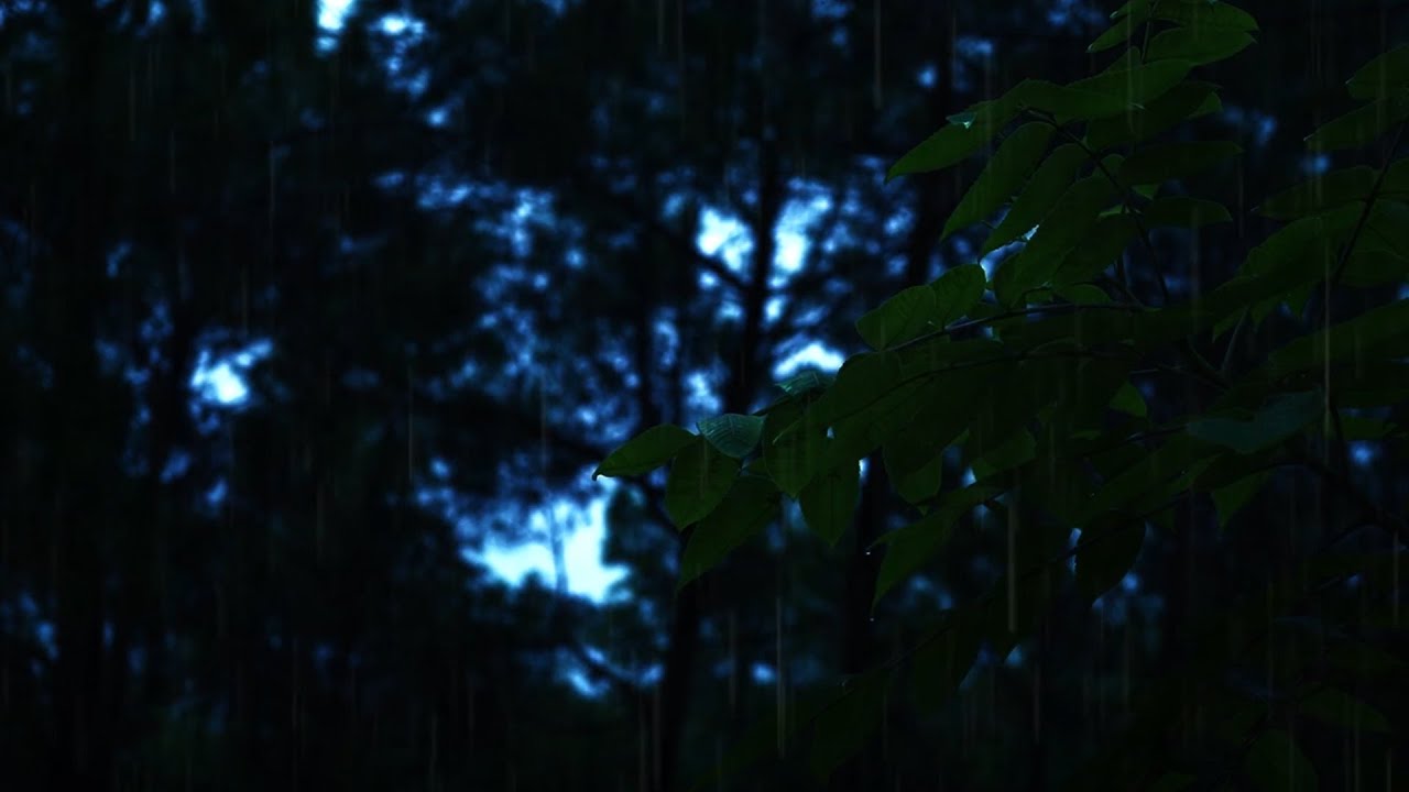 Sleep Instantly With the Sound of Rain Falling At Night Rain sounds to ...