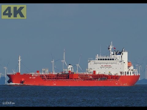 TRF KOBE - Shipspotting Germany 🇩🇪 IMO 9733363 - River Elbe near ...