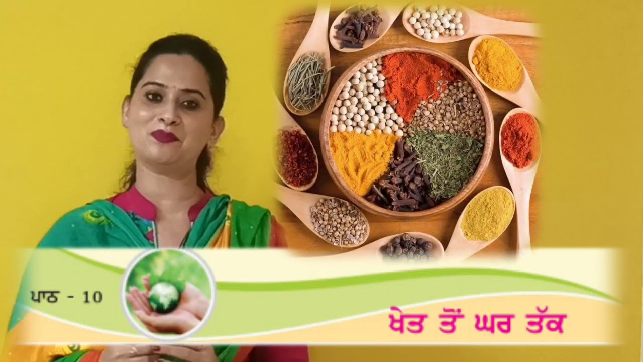 4th evs,Lesson 10, khet to ghar tak,Topic -Masale - YouTube