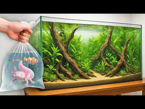 Mega Bir Balık Akvaryumu İnşa Ettim (en havalı balıklar için)