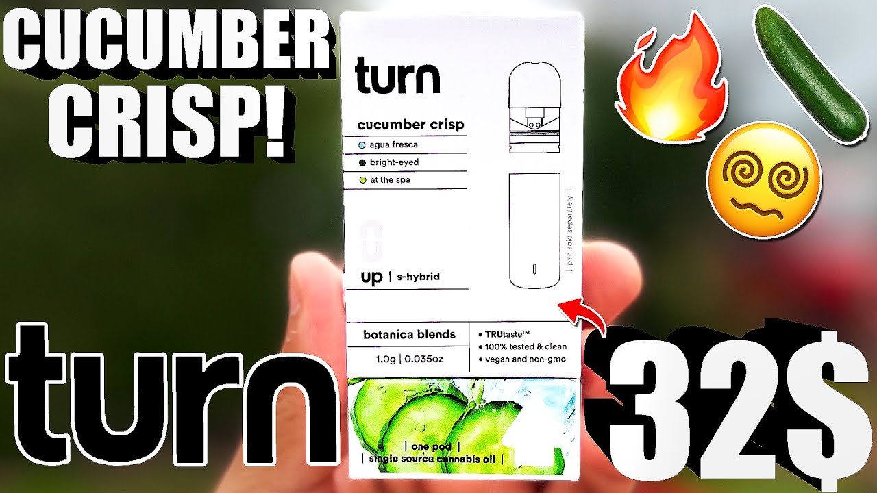 This CUCUMBER CRISP tasted CRISPY! | Turn Pod Pack Cucumber Crisp ...