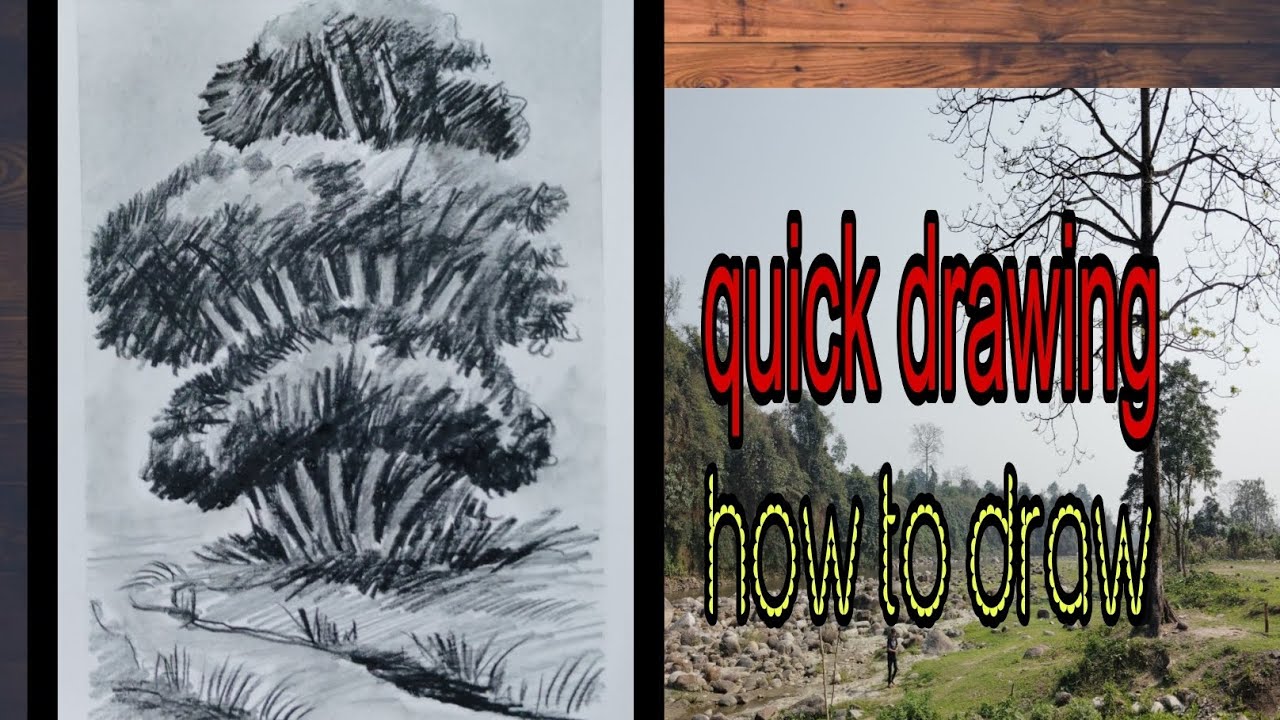 Quick drawing how to draw easy tree with pencil ️. - YouTube