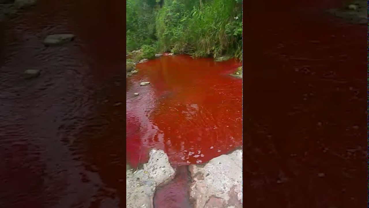 Signs of the 2 coming of Jesus Christ river water turn into blood ...