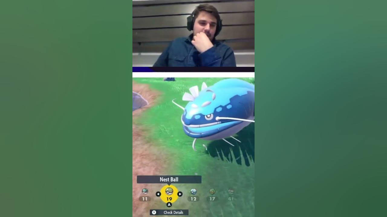 Shiny Chewtle In Pokemon Scarlet And Violet Shorts Youtube