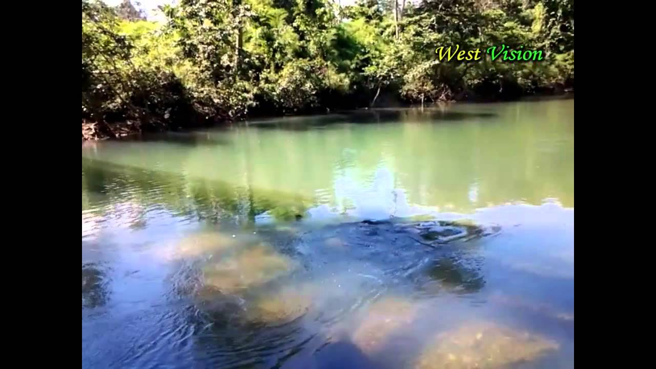 Temash River, Toledo - YouTube