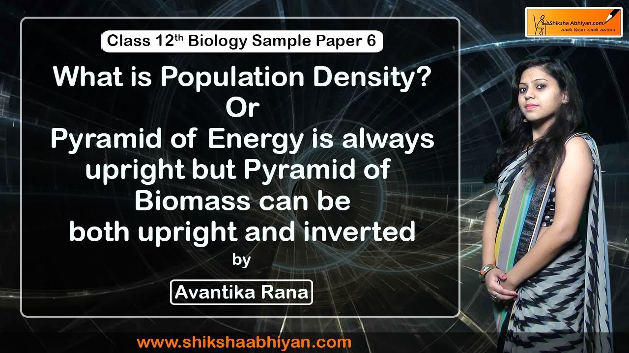 Q26 What is population density?-#CBSE Class12 Biology - YouTube