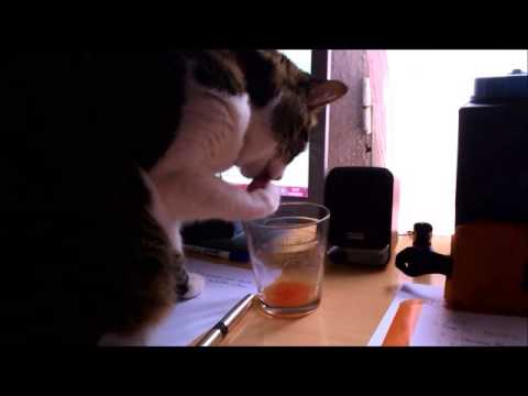Cati loves juice - YouTube