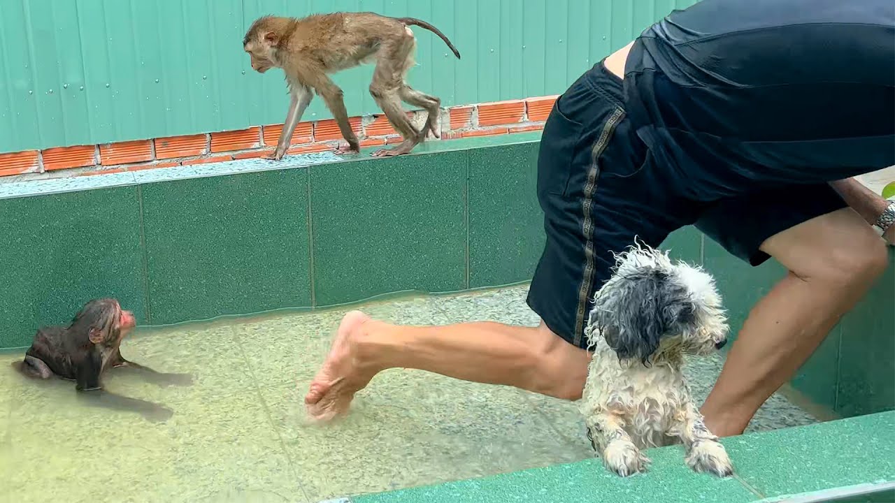 Sam boy's family is excited to clean the swimming pool - YouTube
