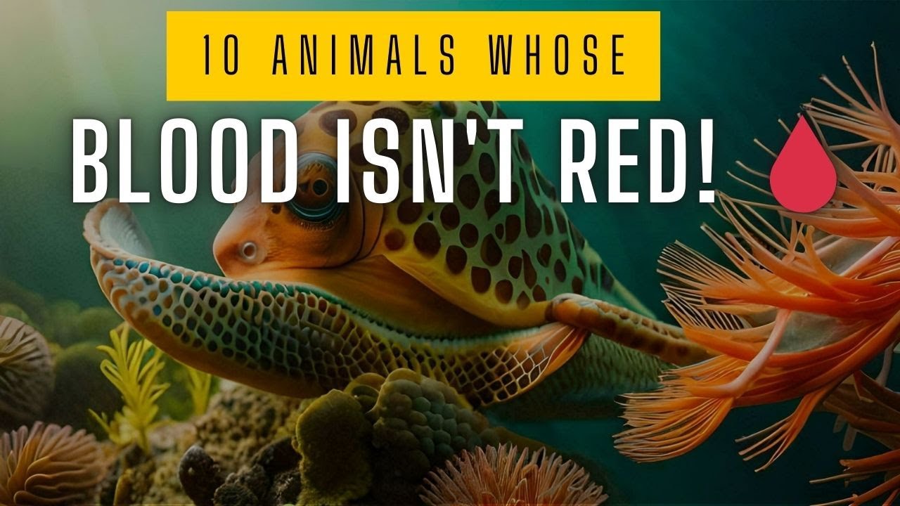Think Red Blood is Common? Think Again with These 10 Animals with Non ...