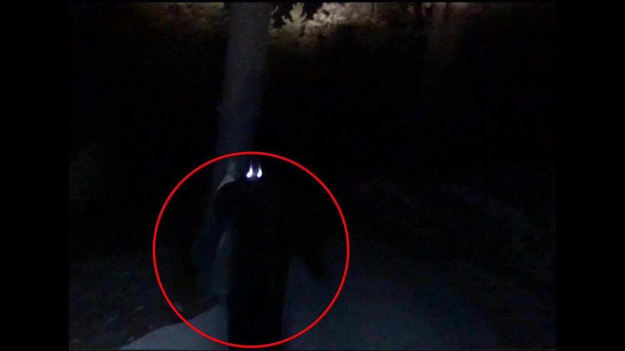 Scary Black Demon Jinn Caught on Camera in Murree Jungle/Forest! - YouTube