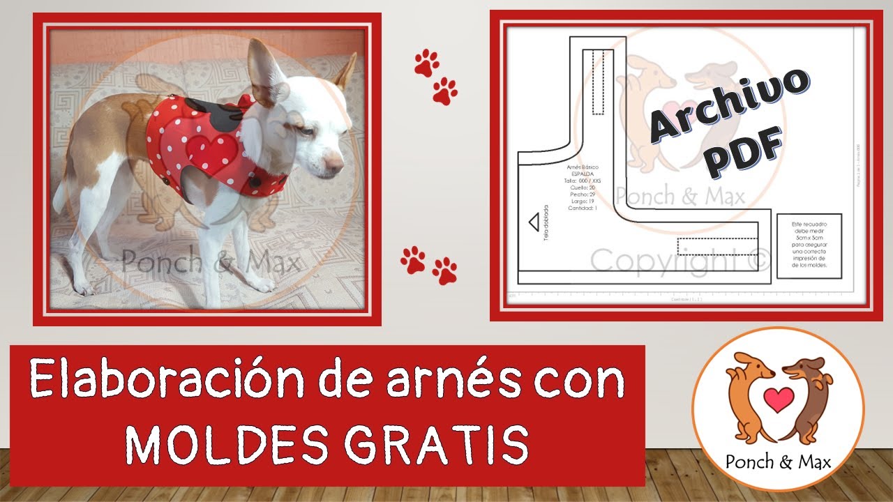DIY 🐶 Elaboración de arnés para perro. MOLDES GRATIS 📌 🥰 Ropa para ...