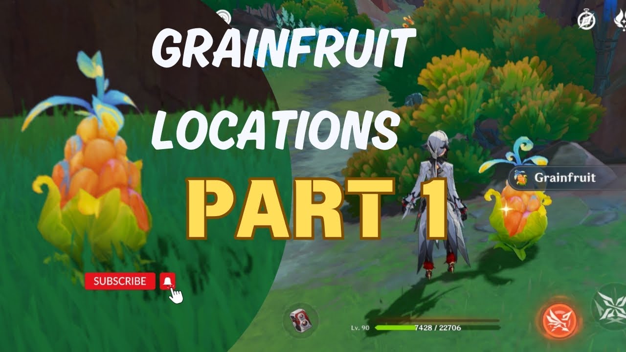 GRAINFRUIT LOCATIONS PART 1 [GENSHIN IMPACT] - YouTube