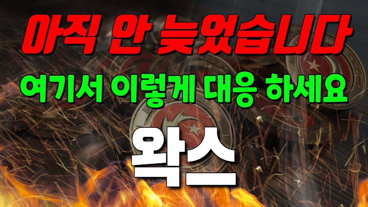 왁스 세력 자금 들어온다 이렇게 대응 하세요 왁스 왁스코인 왁스전망 왁스목표가 왁스호재 왁스코인목표가 왁스코인전망