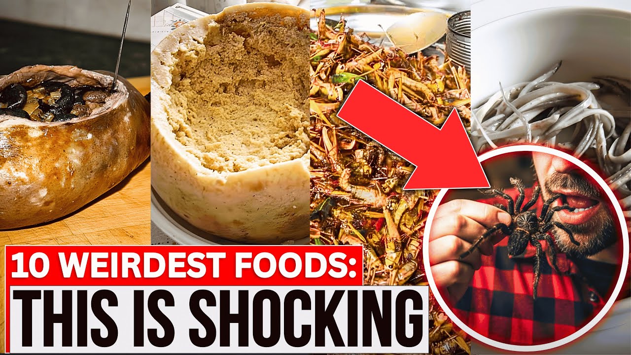 Top 10 Weirdest Food in the World! People really eat these?! - YouTube