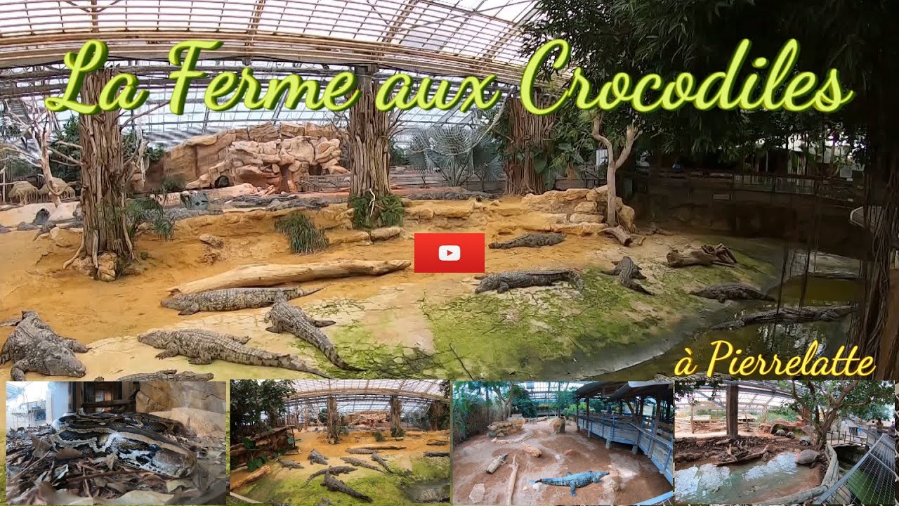 La Ferme aux crocodiles est un parc zoologique impressionnant situé à ...