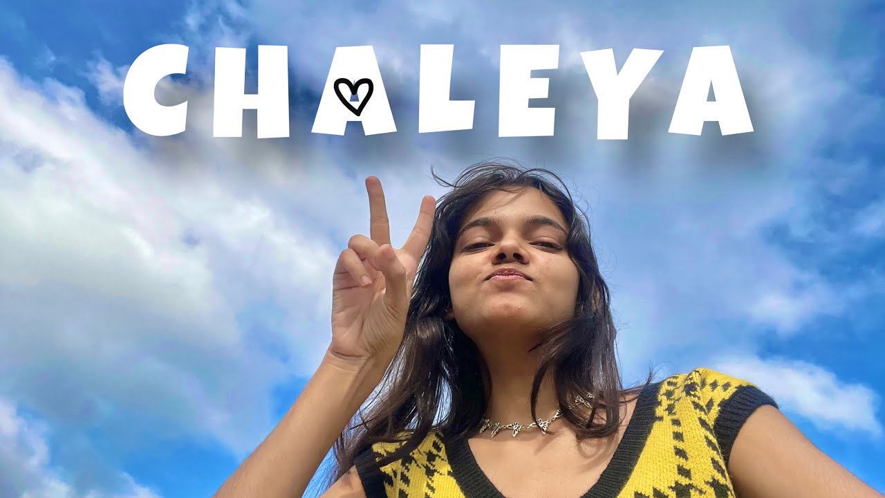 Chaleya (Hindi Song) | Ukulele Female Cover | Shah Rukh Khan | Jawan ...