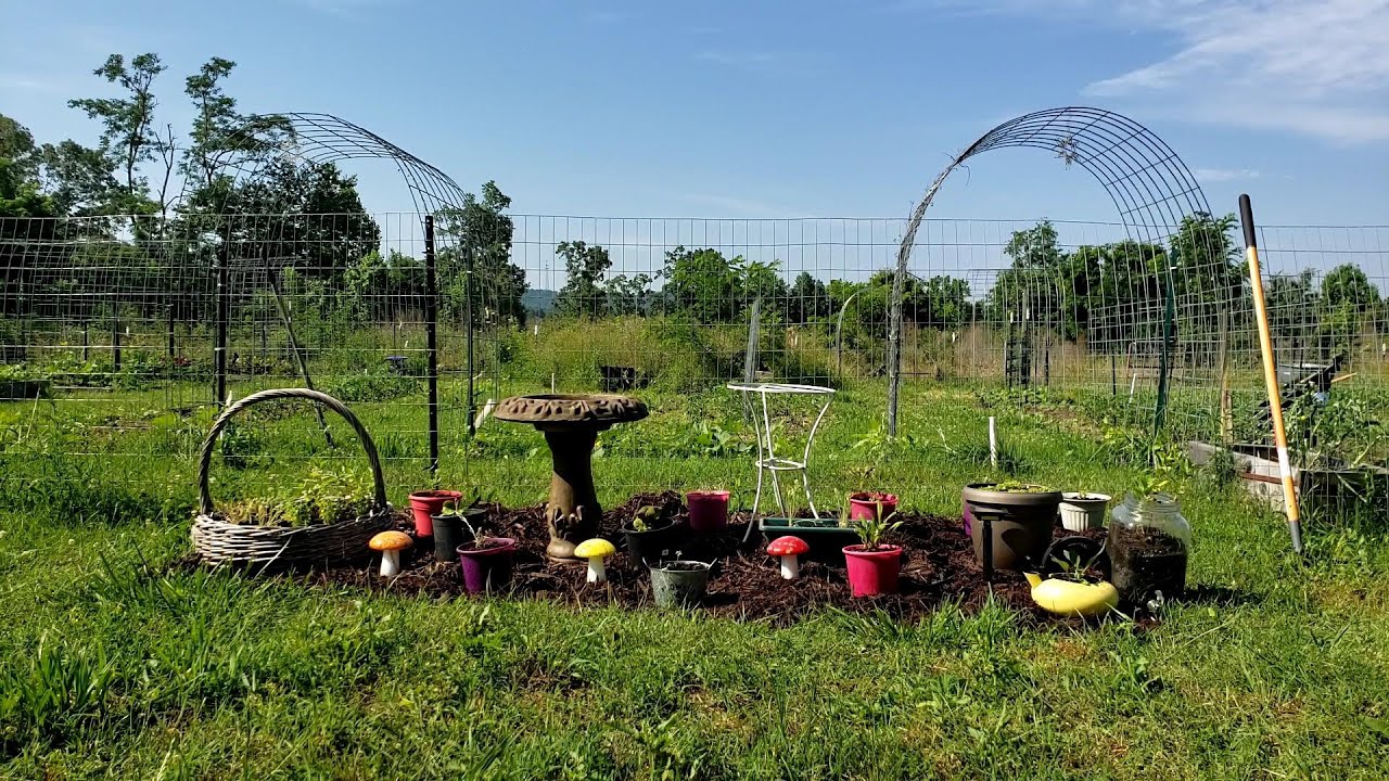 Building a BIRD area- beauty and benefits-future garden plans too - YouTube