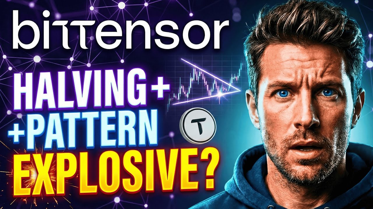 Bittensor (TAO): The Halving Setup No One Is Watching - YouTube