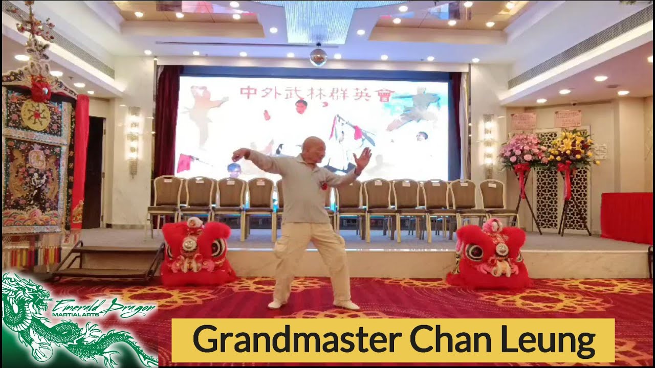 Grandmaster Chan Leung | Fu Family Tai Chi | 1st Section Demonstration ...
