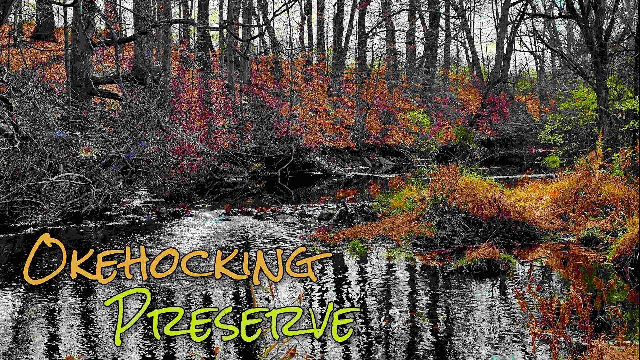 Exploring Ridley Creek at Okehocking Preserve - YouTube