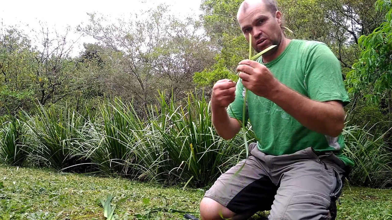 Making Cordage - YouTube