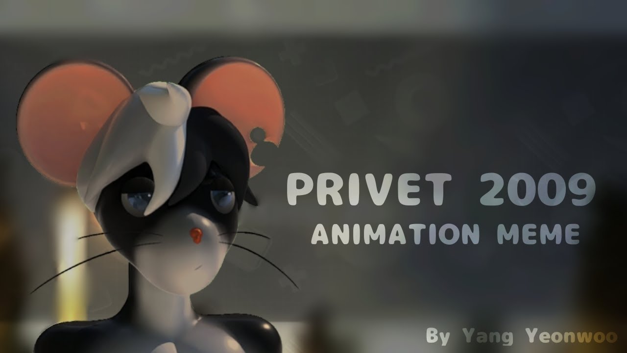 Privet 2009 | 3D Animation Meme | Transformice - YouTube