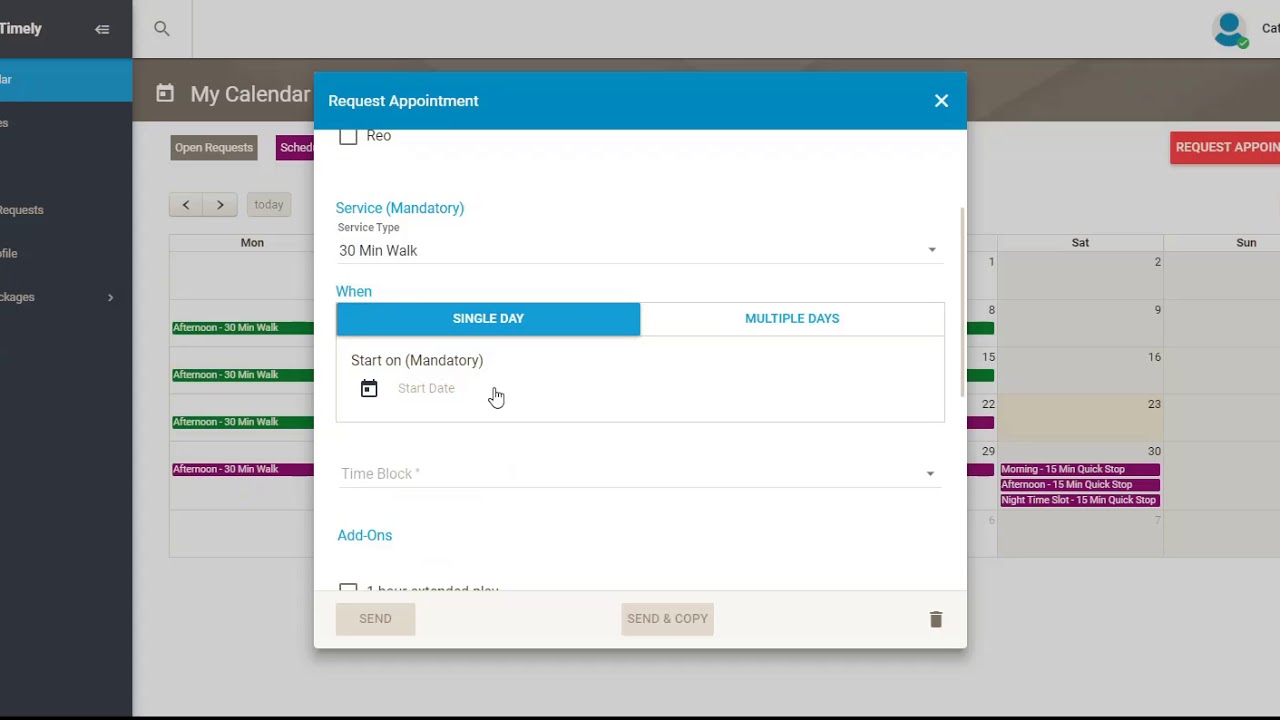 Client Scheduling Single Day Appointment - YouTube