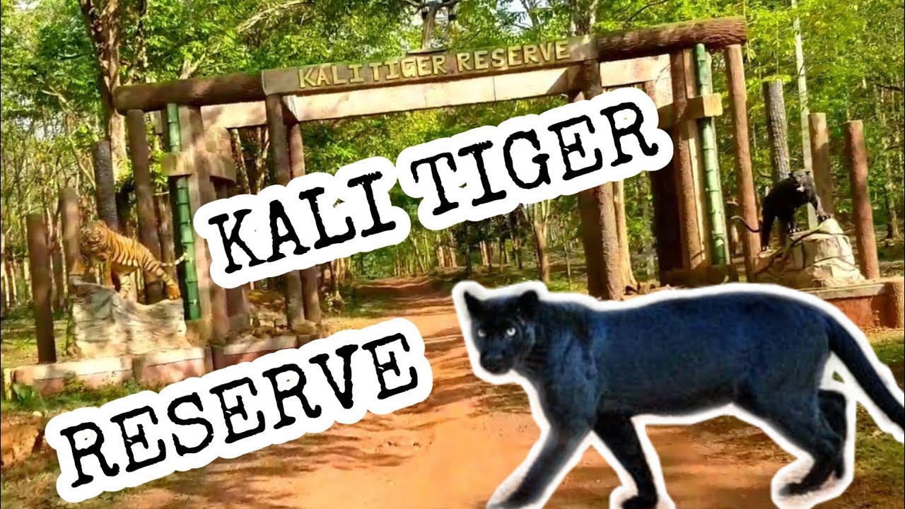 KALI TIGER RESERVE ll DANDELI ll KARNATAKA ll PART 5 - YouTube