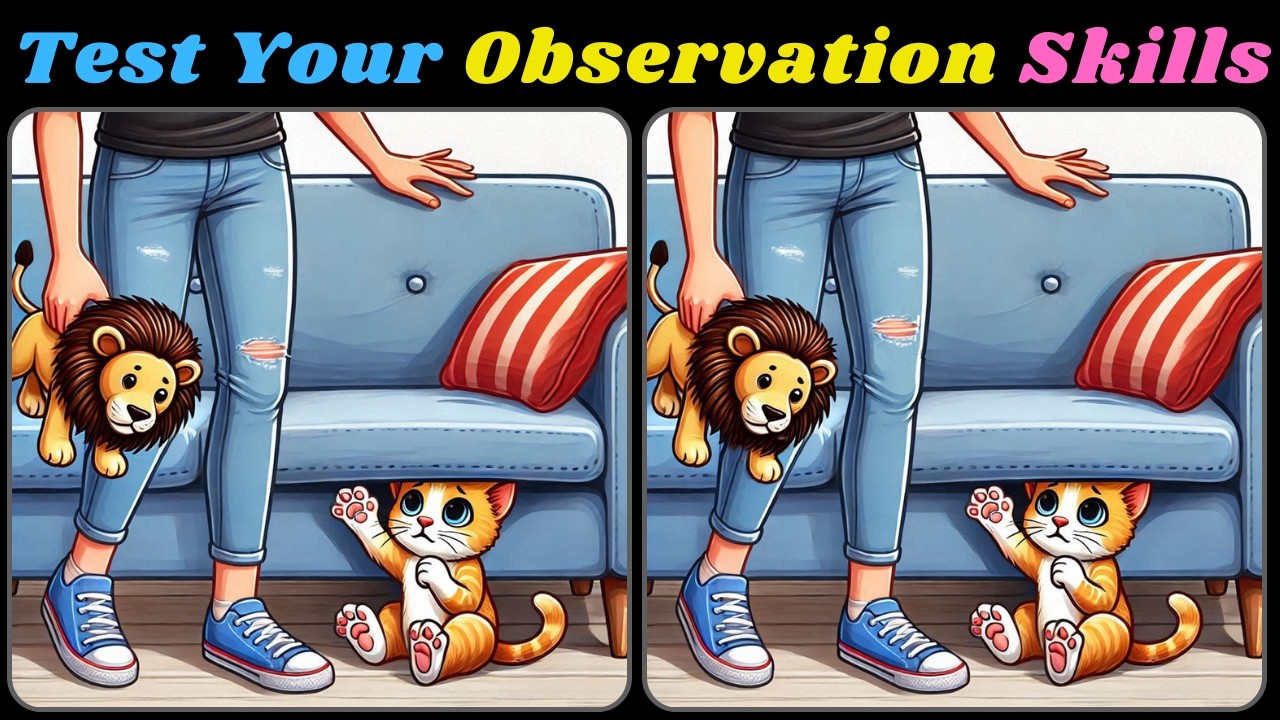 Spot The Difference : Brain Your Train Find the Difference Games 🍀379 [Spot 3 Differences] - YouTube