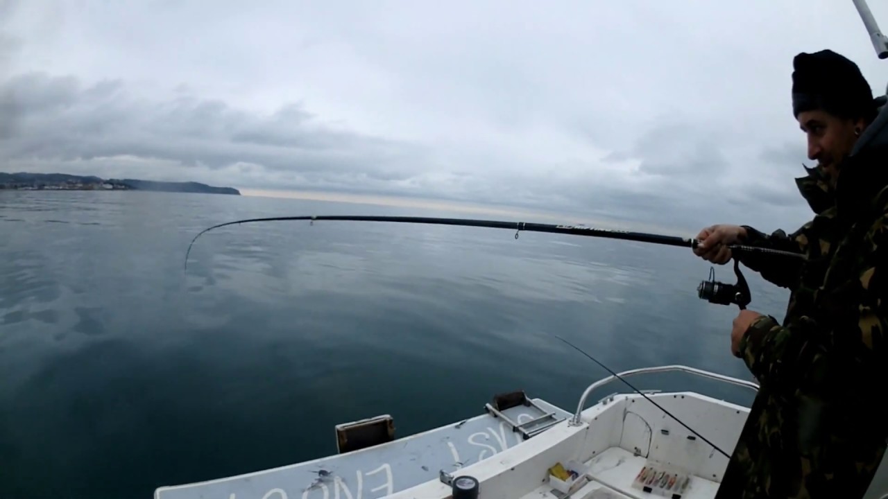 Fishing for Common pandora - YouTube