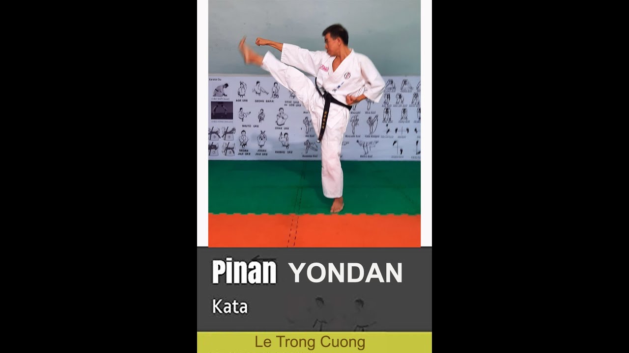 Pinan Yondan - shito ryu karate - by Lê Trọng Cường - YouTube