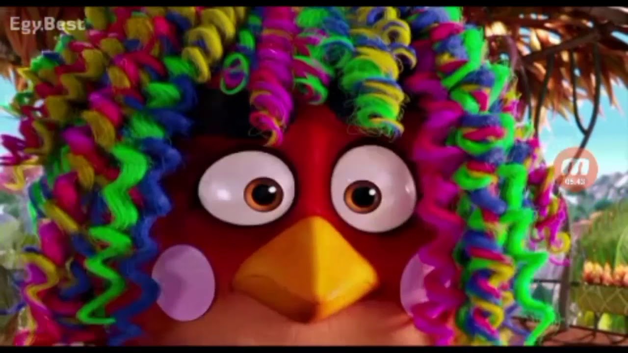 Angry birds movie 2016 مترجم اول 8دقائق - YouTube
