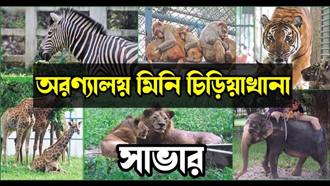 অরণ্যালয় মিনি চিড়িয়াখানা সভার। Aranyaloy mini zoo, Savar - YouTube