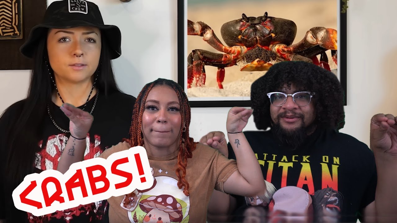 THE BEST CRABS IN THE WORLD! | Lindsay Nikole Reaction ft. Chavezz ...