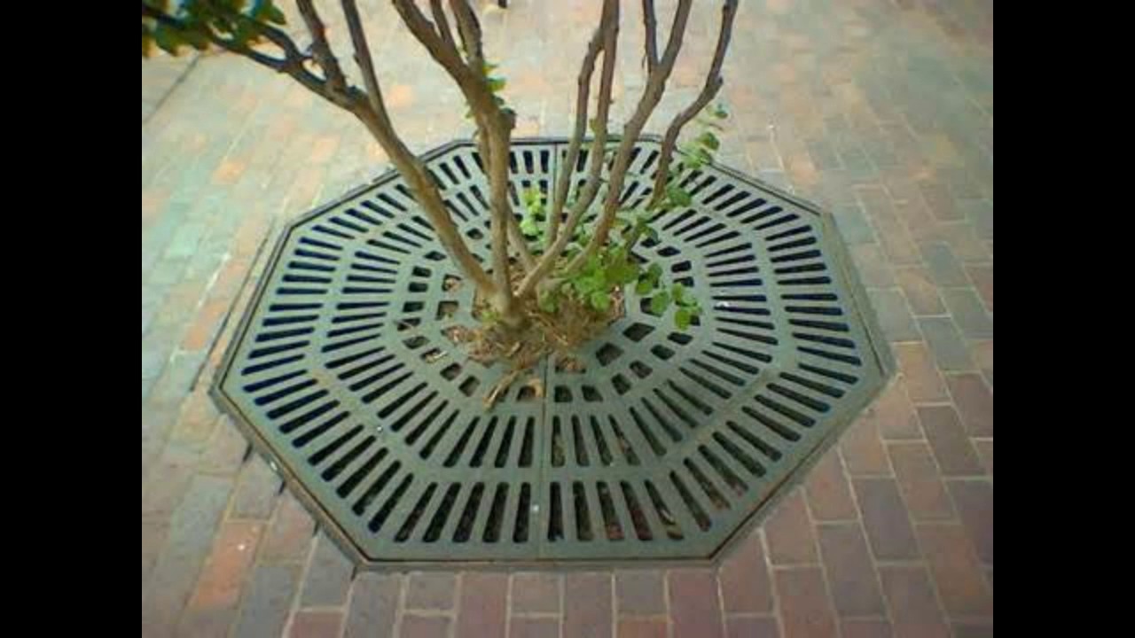 Polygon Song - YouTube