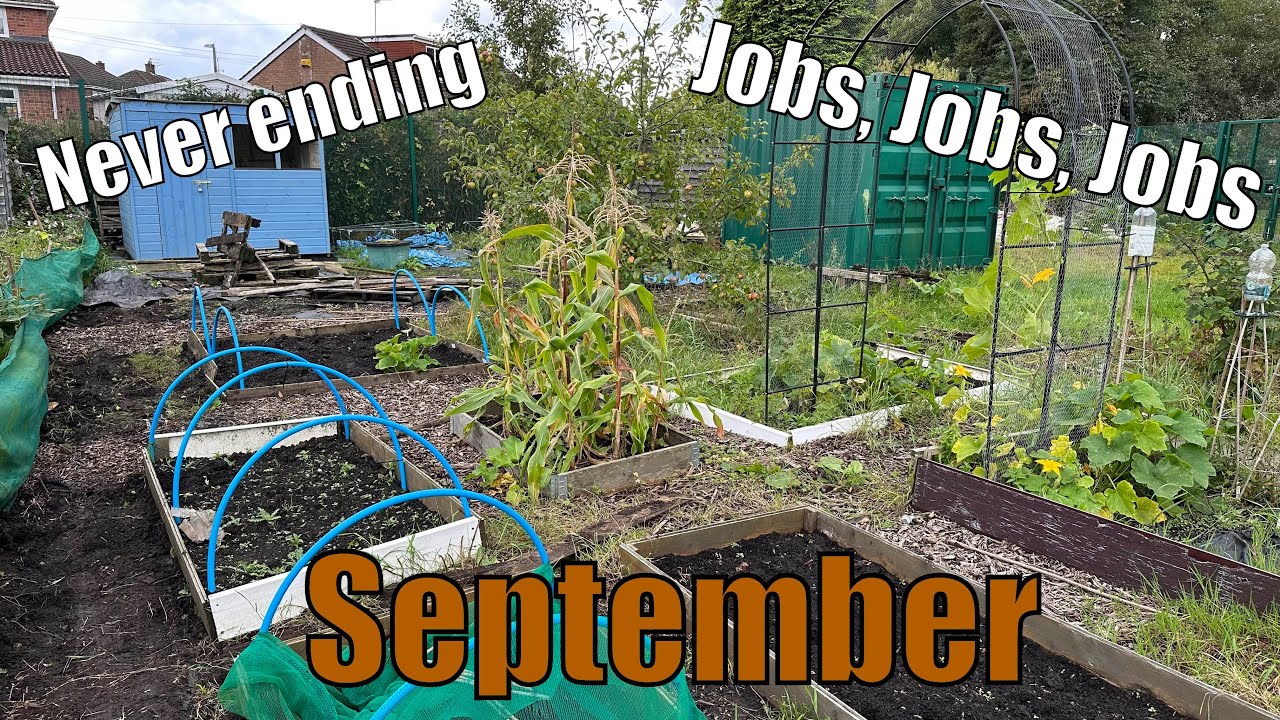 September Jobs | Autumn is Finally Here | Allotment Life - YouTube