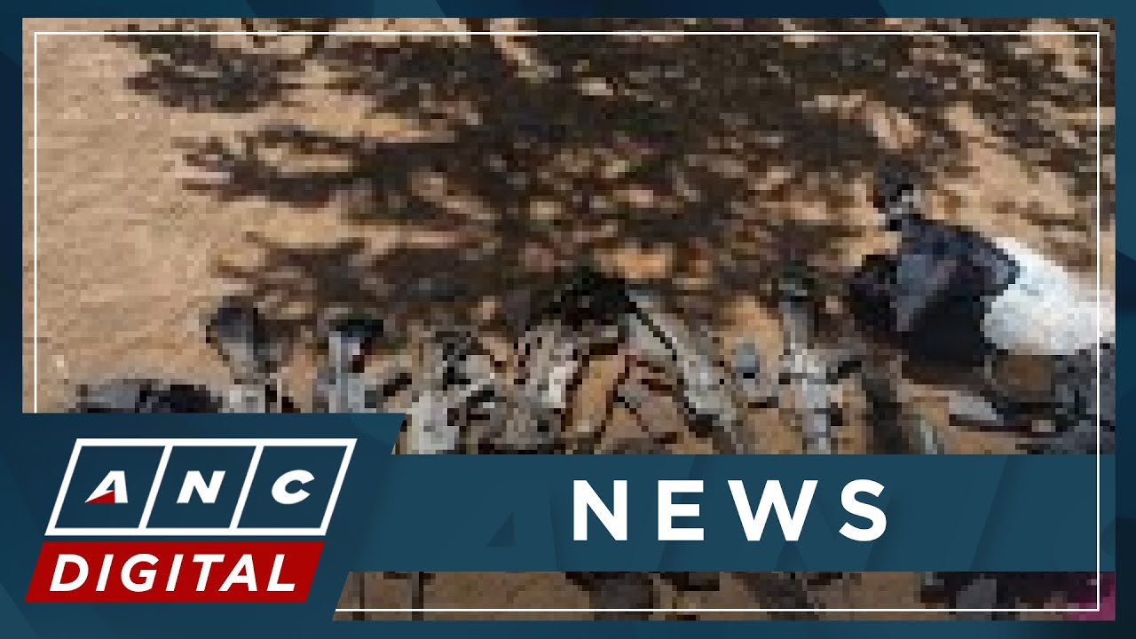 Seven suspected NPA rebels killed in encounter in Negros Occidental ...