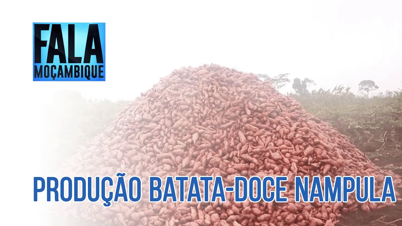 Distrito de Murrupula quer investidores na área de processamento da ...