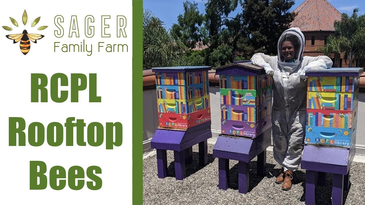 RCPL Rooftop Bees | Sager Family Farm - YouTube