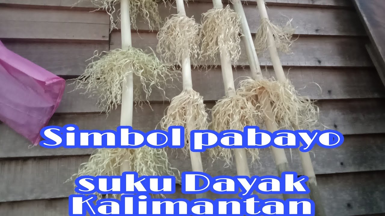 Cara Buat Pabayo Suku Dayak Kalimantan barat - YouTube