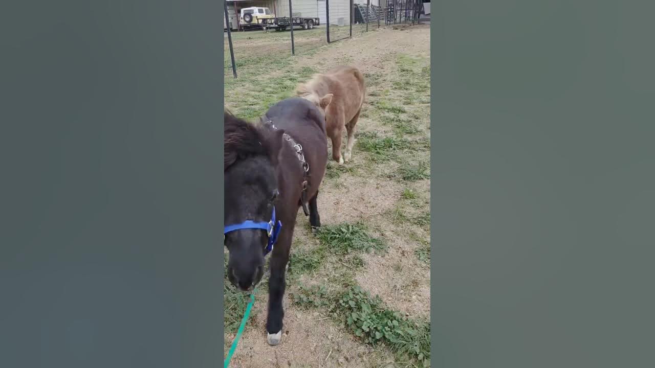 Stormy And Breezy Youtube