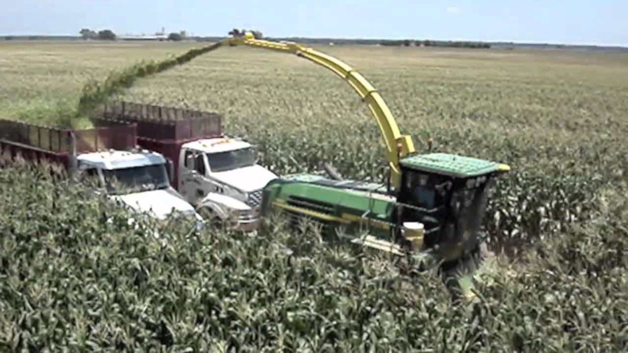 The Start of Corn Harvest - YouTube