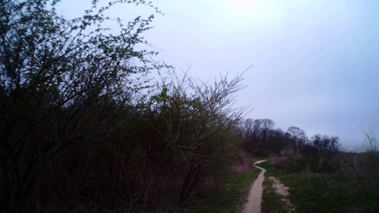 Stillwell Preserve, Syosset NY 4/24/2013 Black Belt Loop Trail (Part 1 ...