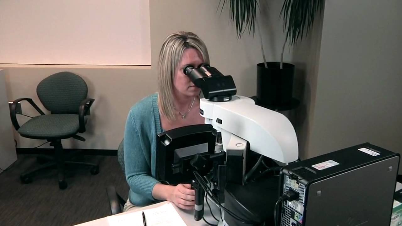 Hologic: Integrated Imager Overview - YouTube