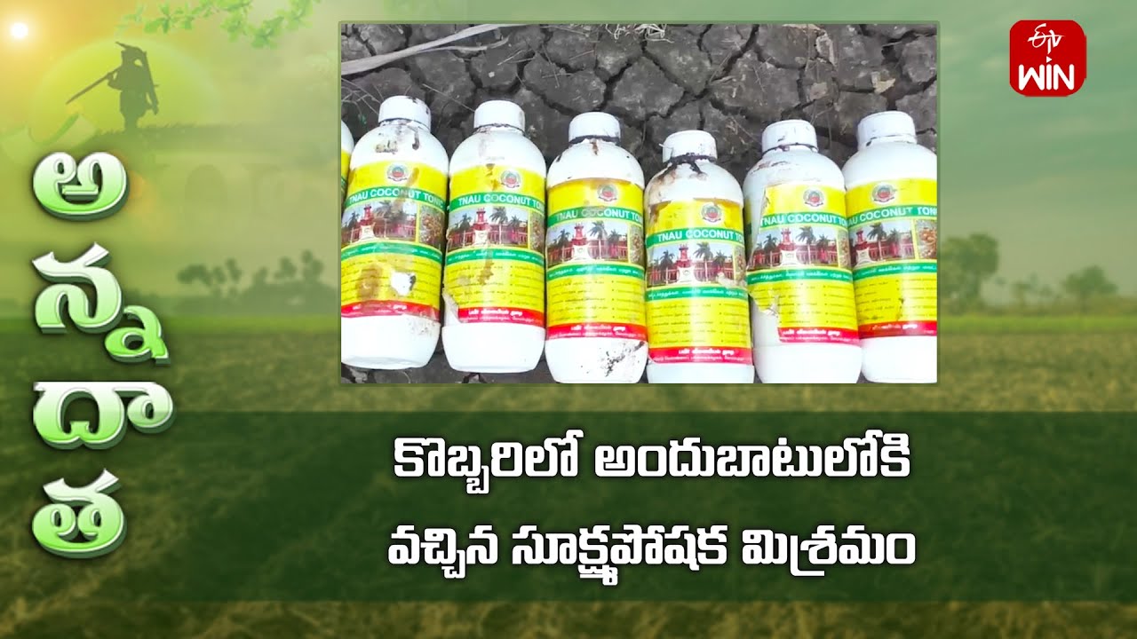 New coconut tonic by TNAU - micro nutrient combination for growth in ...